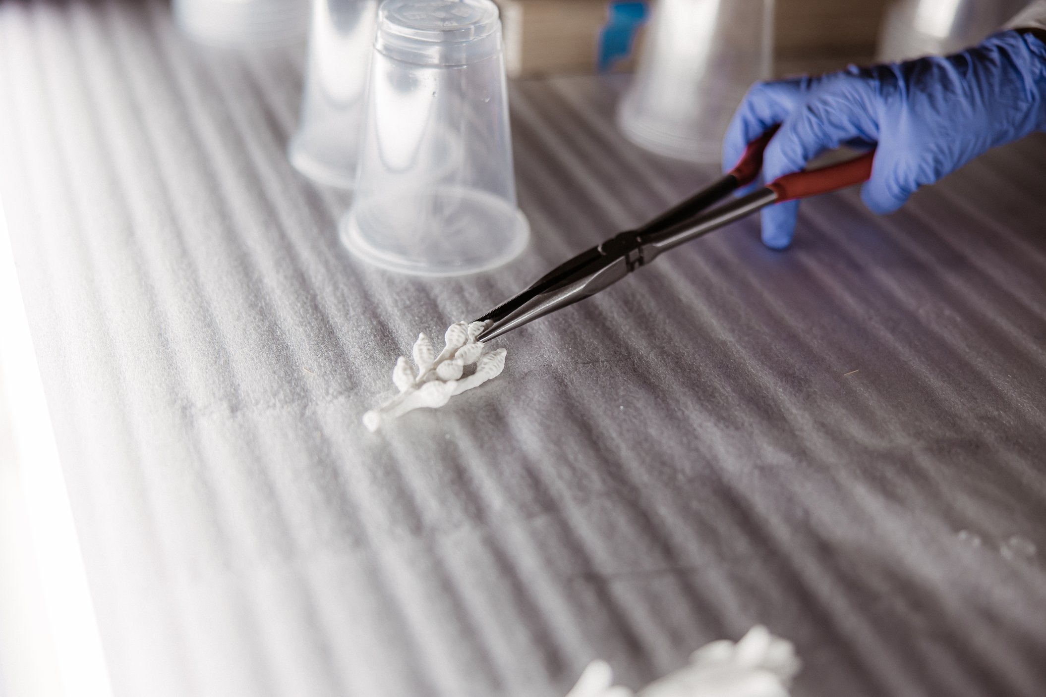 In Conversation: Milne & Stonehouse Q&A